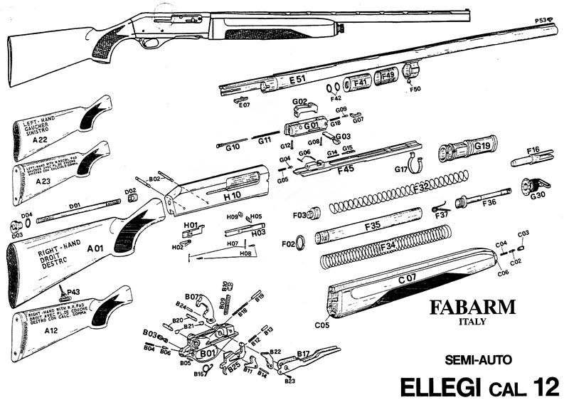 Fabarm ellegi cal 12-1.jpg (800×569) | F35